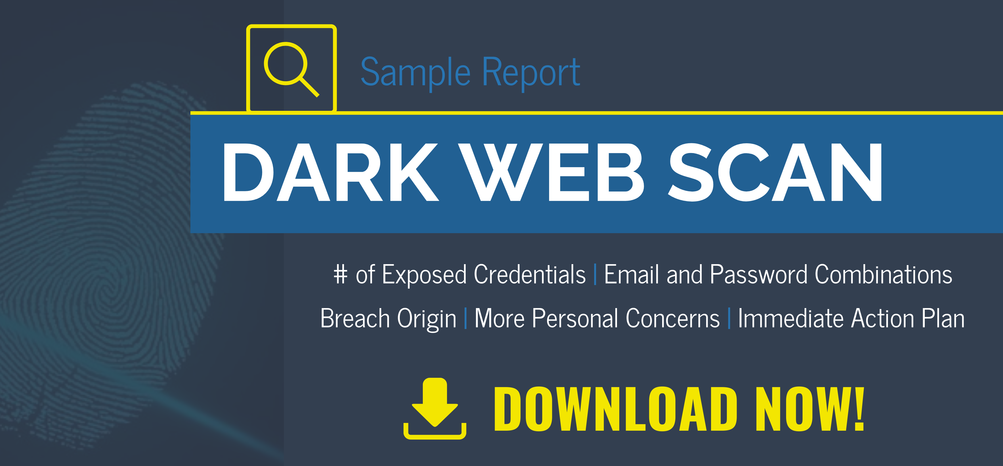 Sample Report: Dark Web Scan | Next Dimension